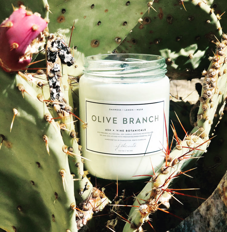Ash + Vine Botanicals | White Birch Soy Candle